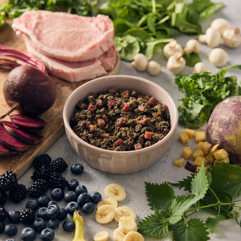 Different Dog | Fresh Dog Food Delivery Subscription UK | Different Dog